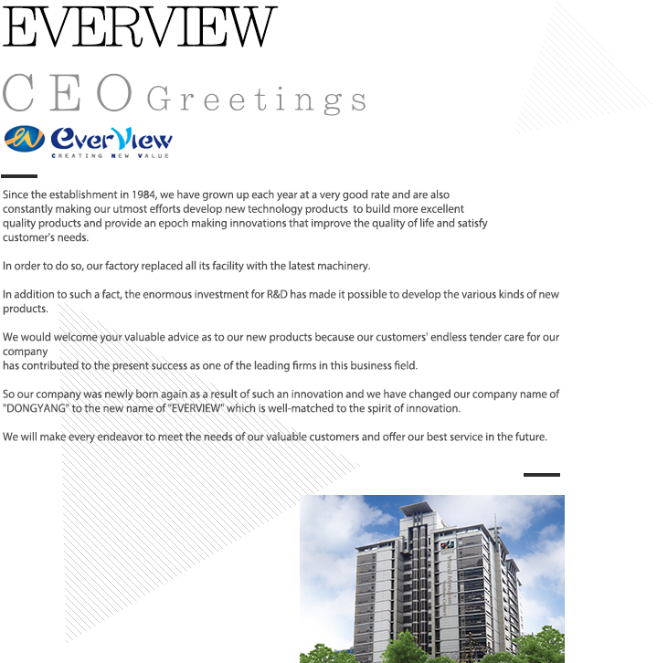 EVERVIEW